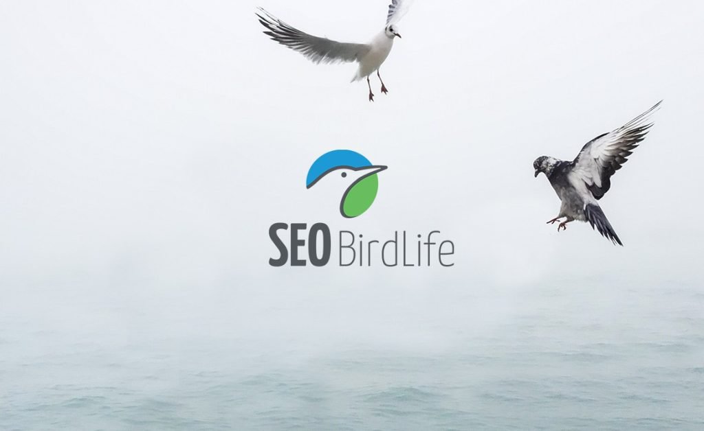 SEO/BirdLife: casi 70 años cuidando de las aves silvestres y su entorno ...